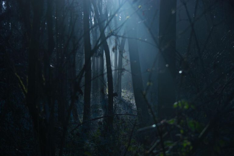 Horrory 2026 – najlepsze filmy grozy w kinach i na Netflix - Filmi